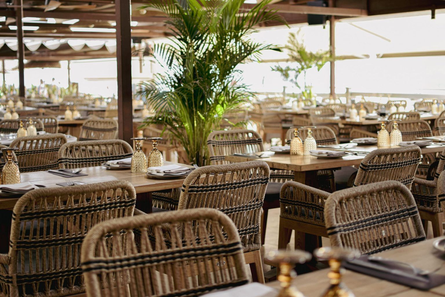 Restaurante El Senador Maspalomas: el icónico local que renace el 12 de ...